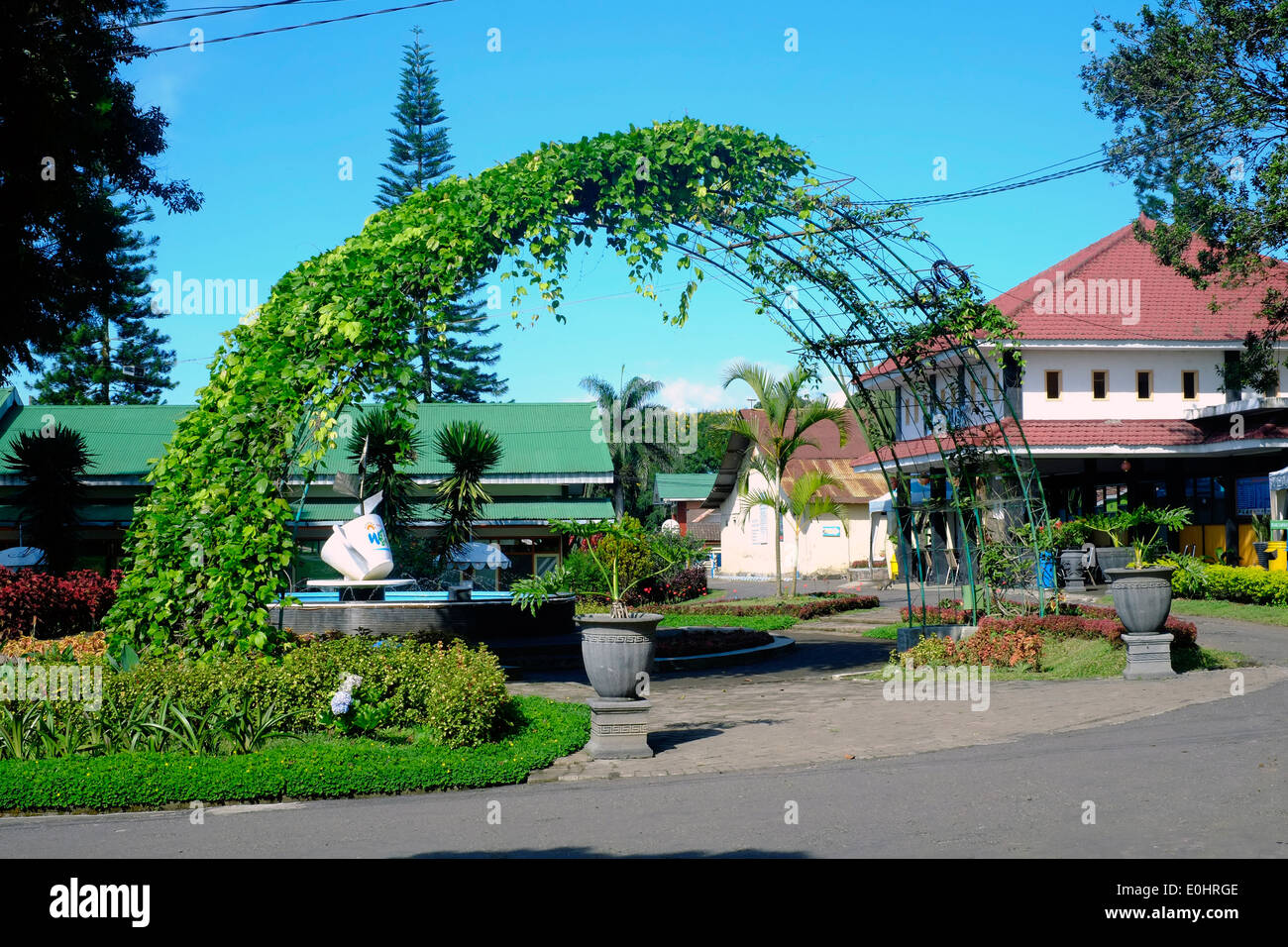 the tea house cafe at the wonosari tea plantation near malang east java ...