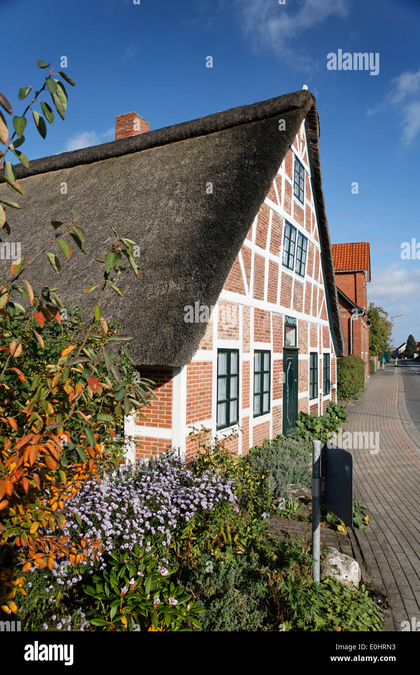 Germany, Lower Saxony, typical farm house, Deutschland, Niedersachsen ...