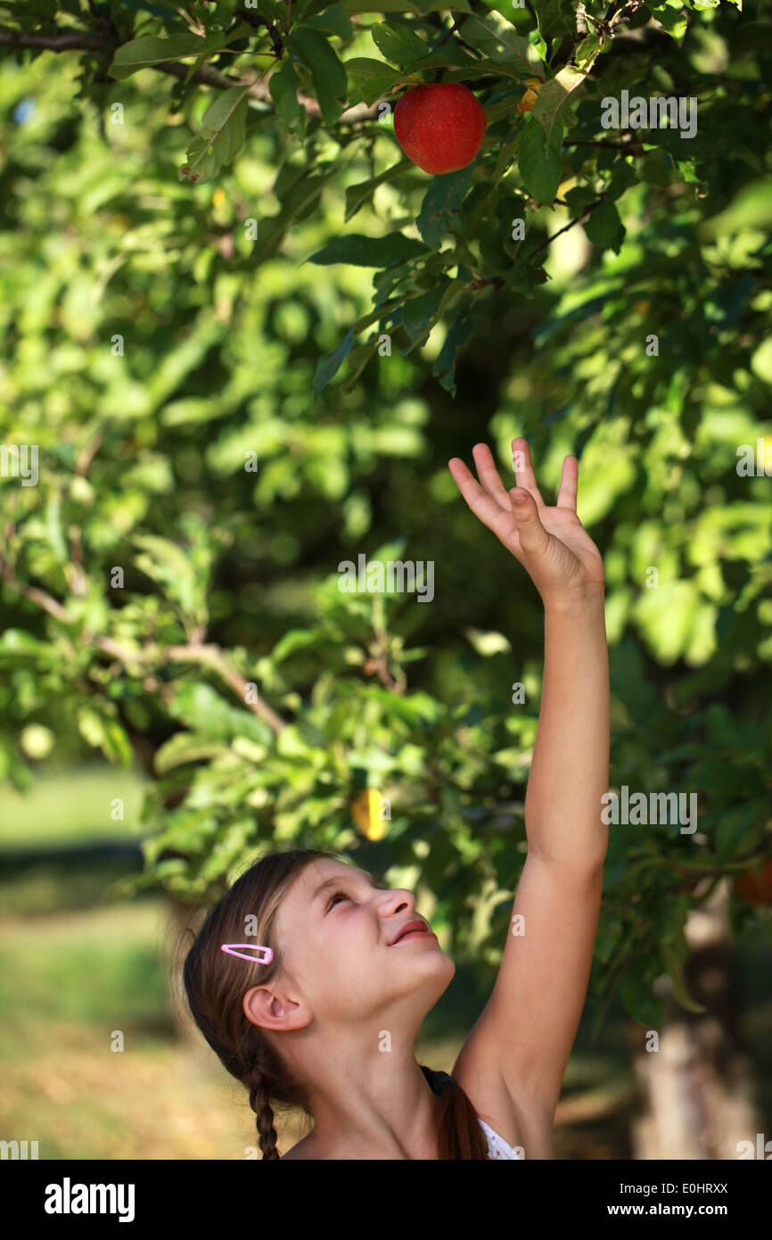 Child under apple tree hi-res stock photography and images - Alamy