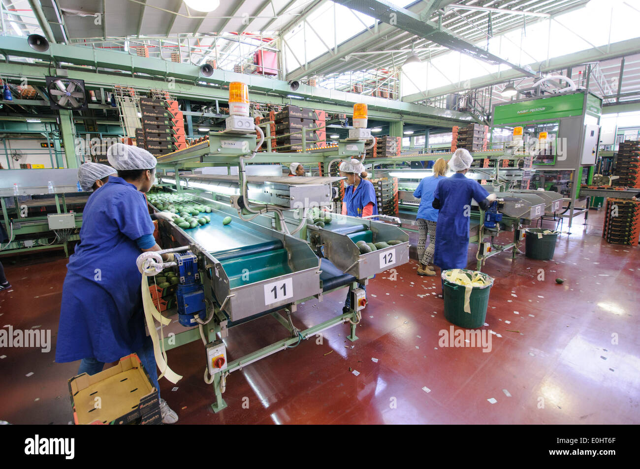 Visual inspection hi-res stock photography and images - Alamy