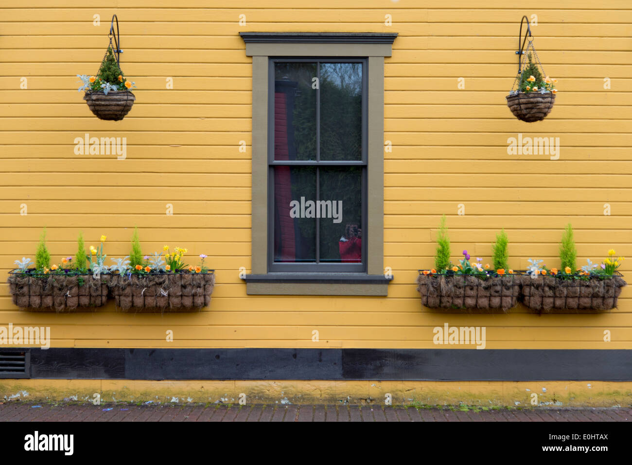 Hanging baskets on the exterior wall of a house, Snoqualmie, Washington ...