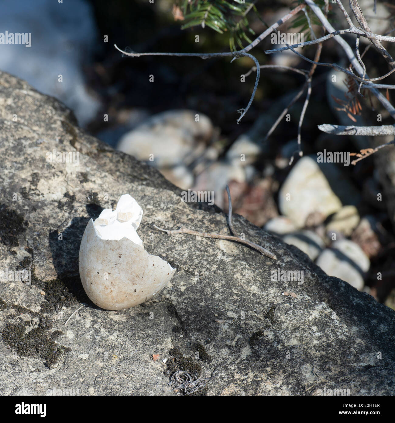Hecla grindstone hi-res stock photography and images - Alamy