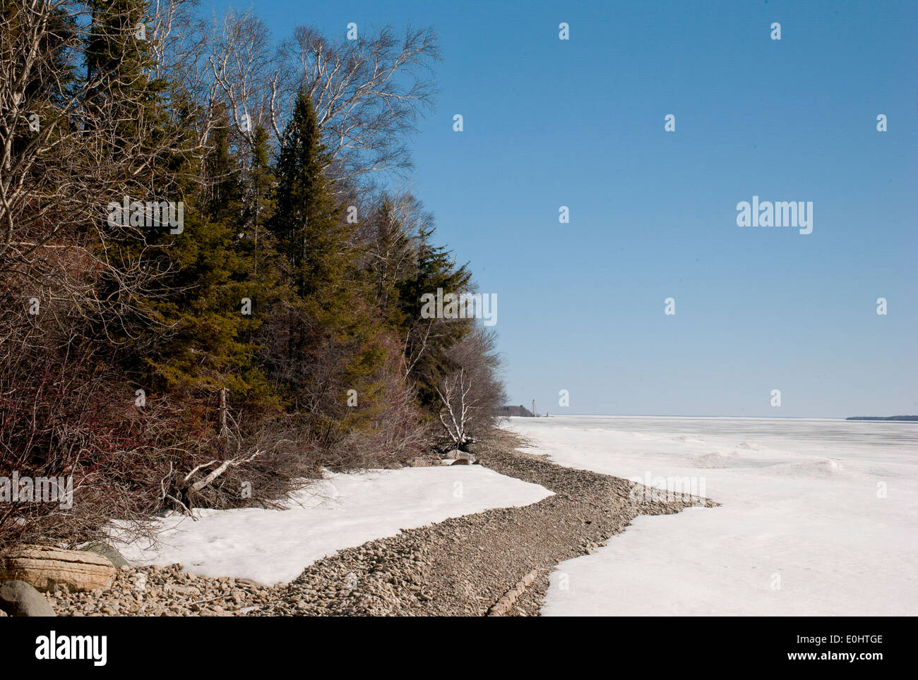 Trees at the lakeside, Lake Winnipeg, Hecla Grindstone Provincial Park ...