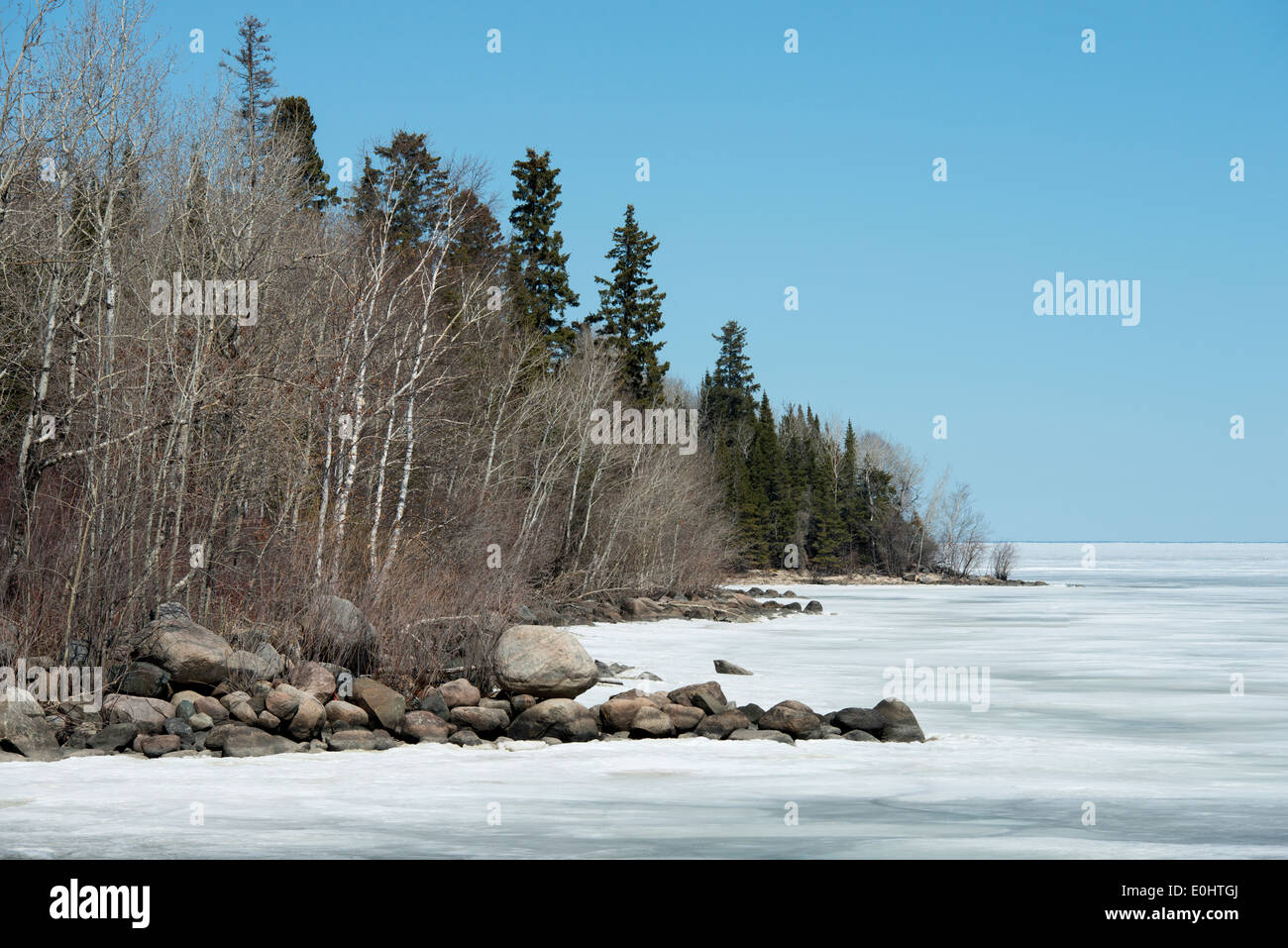 Trees at the lakeside, Lake Winnipeg, Hecla Grindstone Provincial Park ...