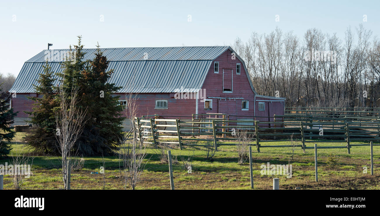 Barn in field canada hi-res stock photography and images - Alamy