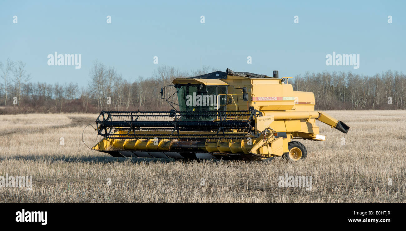 Combine harvester in a field hi-res stock photography and images - Alamy