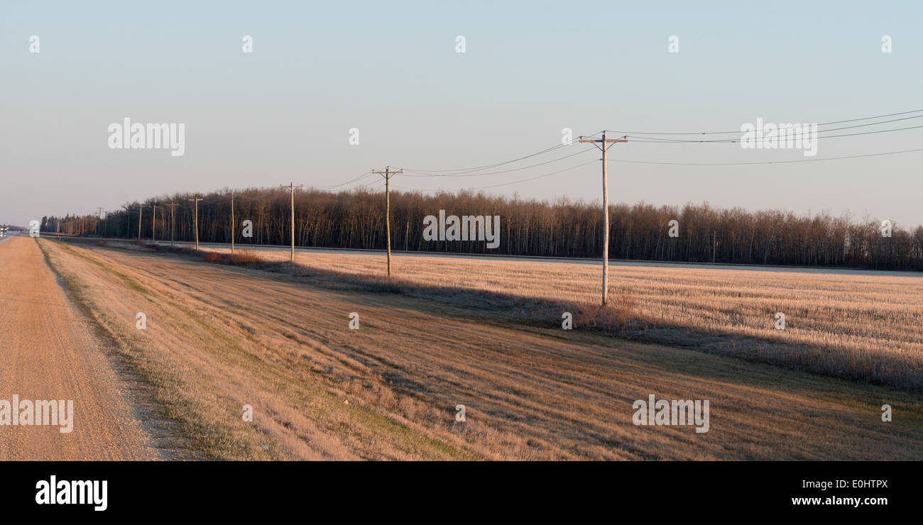 Dirt road through prairie hi-res stock photography and images - Alamy