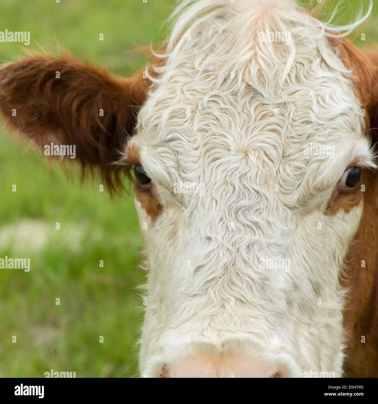 Canada farm square hi-res stock photography and images - Alamy