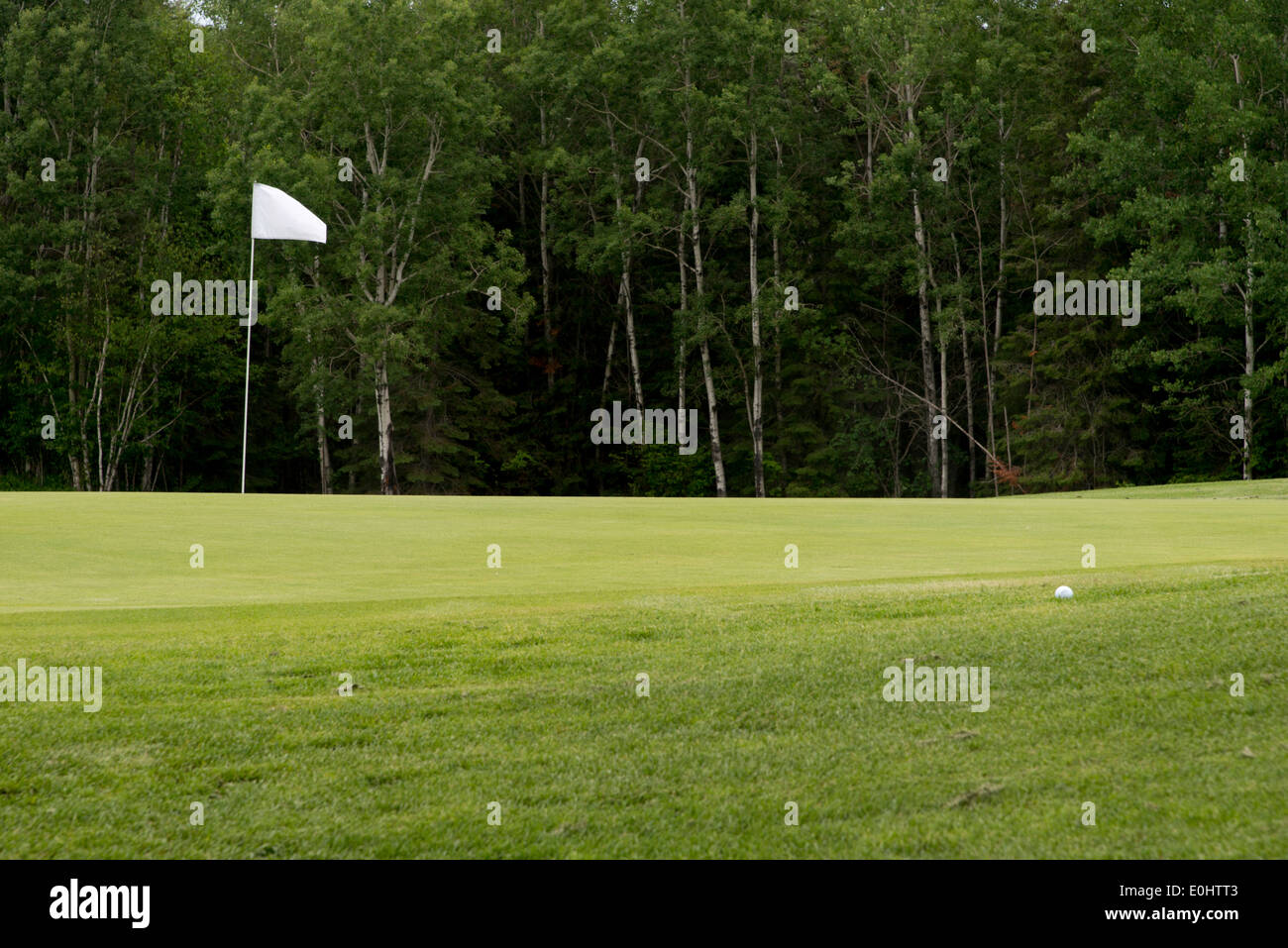 Golf flag in a golf course, Hecla Grindstone Provincial Park, Manitoba ...