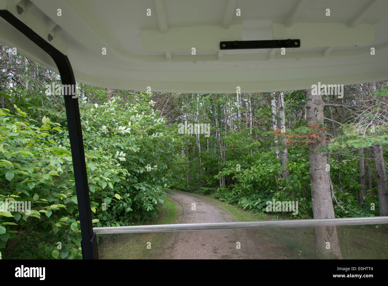 Forest viewed from vehicle, Hecla Grindstone Provincial Park, Manitoba ...