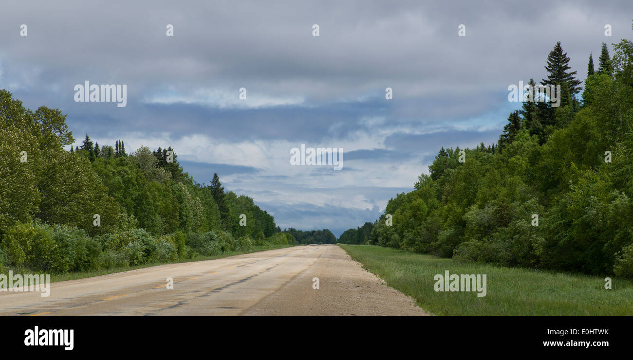 Trees along gravel road, Riverton, Hecla Grindstone Provincial Park ...