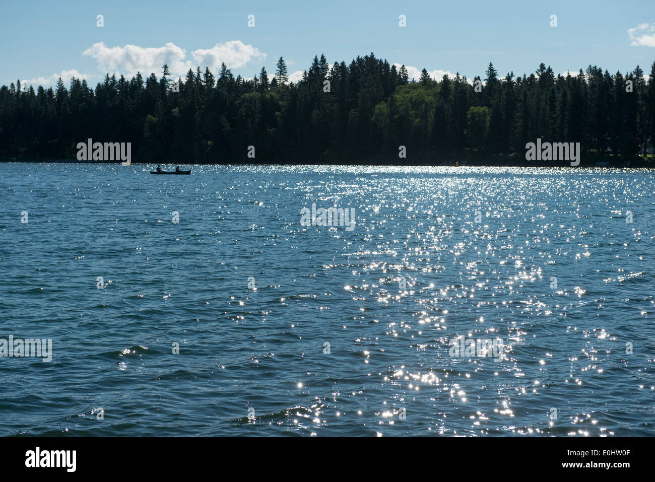 Trees at the lakeside, Wasagaming, Riding Mountain National Park ...
