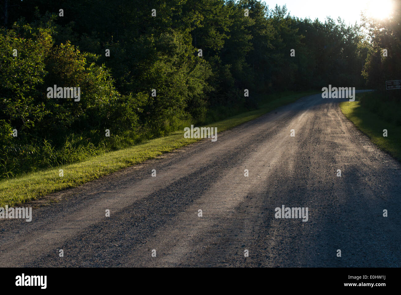 Trees along a gravel road, Wasagaming, Riding Mountain National Park ...