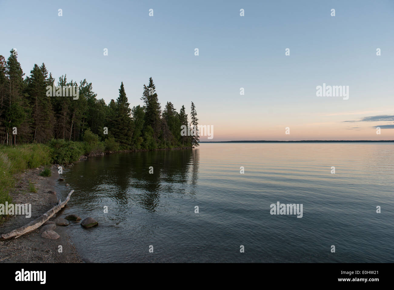 Trees at the lakeside, Lake Audy Campground, Riding Mountain National ...
