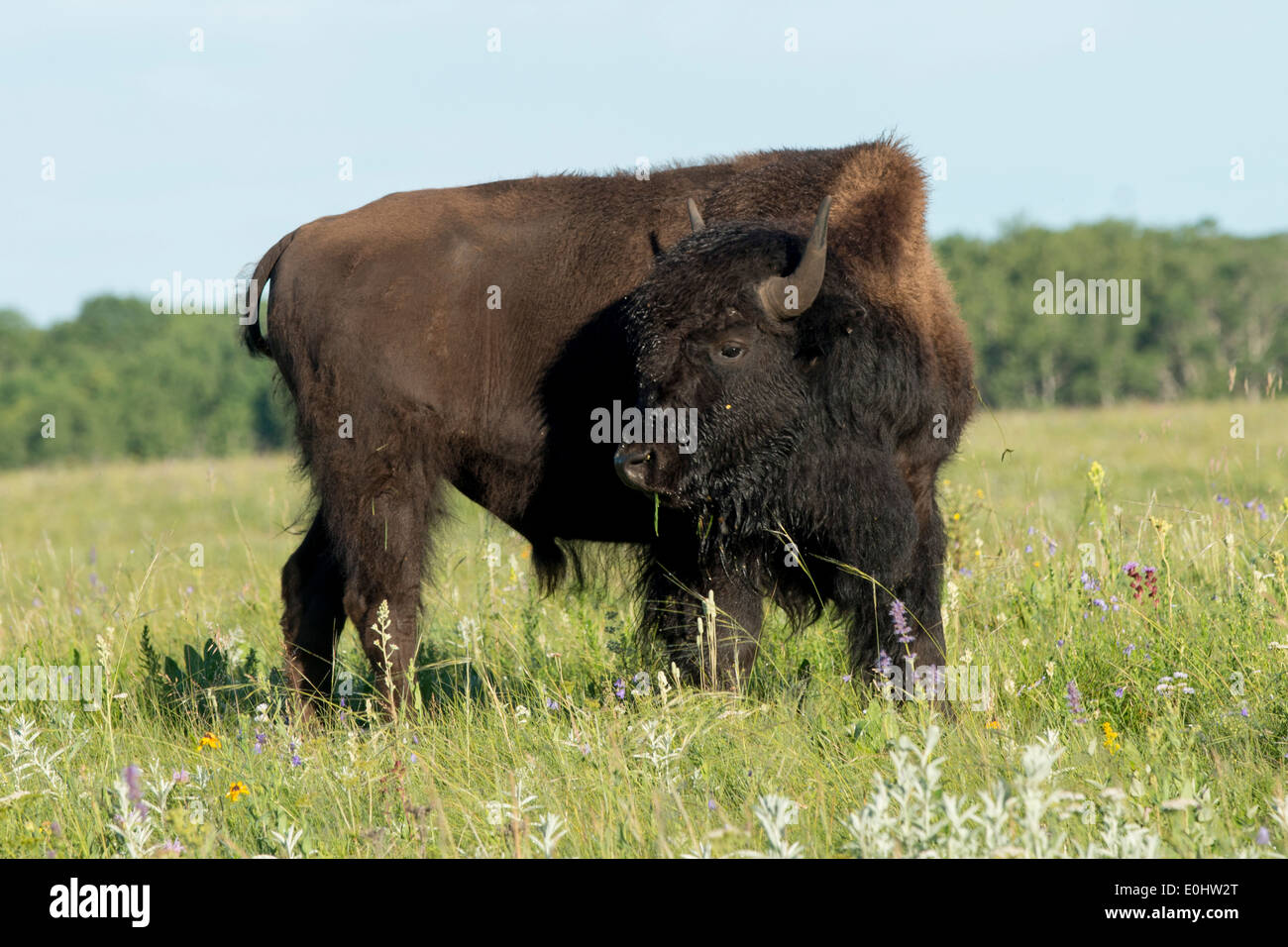 Lake audy campground hi-res stock photography and images - Alamy
