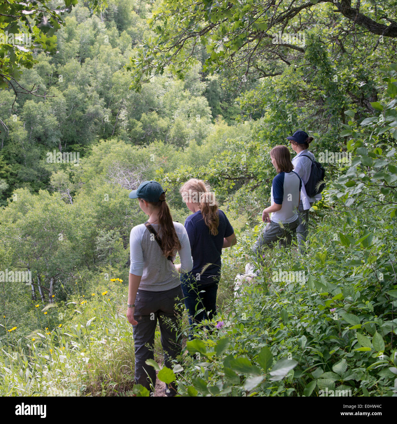 Tourists in forest hi-res stock photography and images - Alamy
