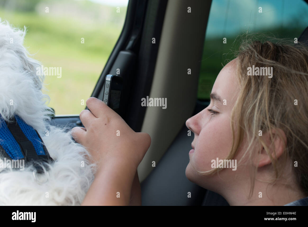Girl sitting in a car using a mobile phone, Lake Audy Campground ...
