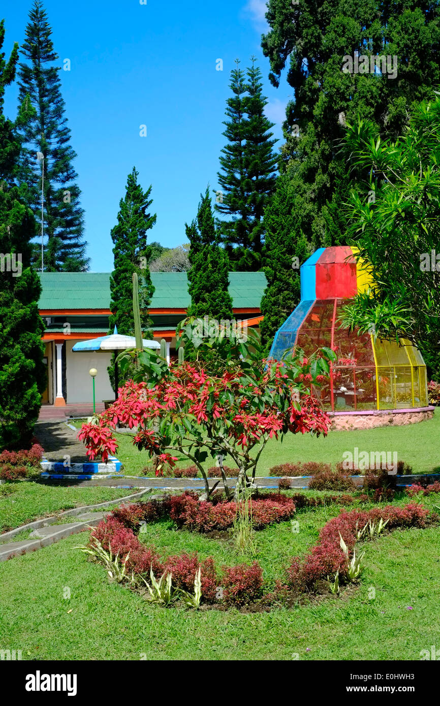 beautiful gardens at the wonosari tea plantation near malang east java ...