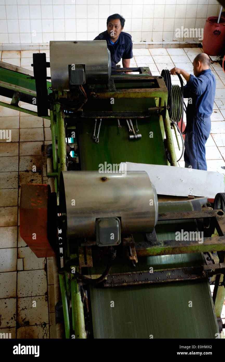 Plantation and maintenance hi-res stock photography and images - Alamy