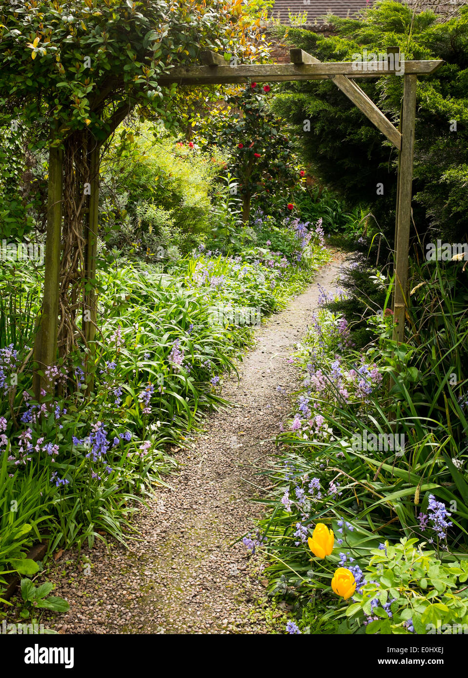 A flower-lined path winds through a park in Dunster, Devon, England ...