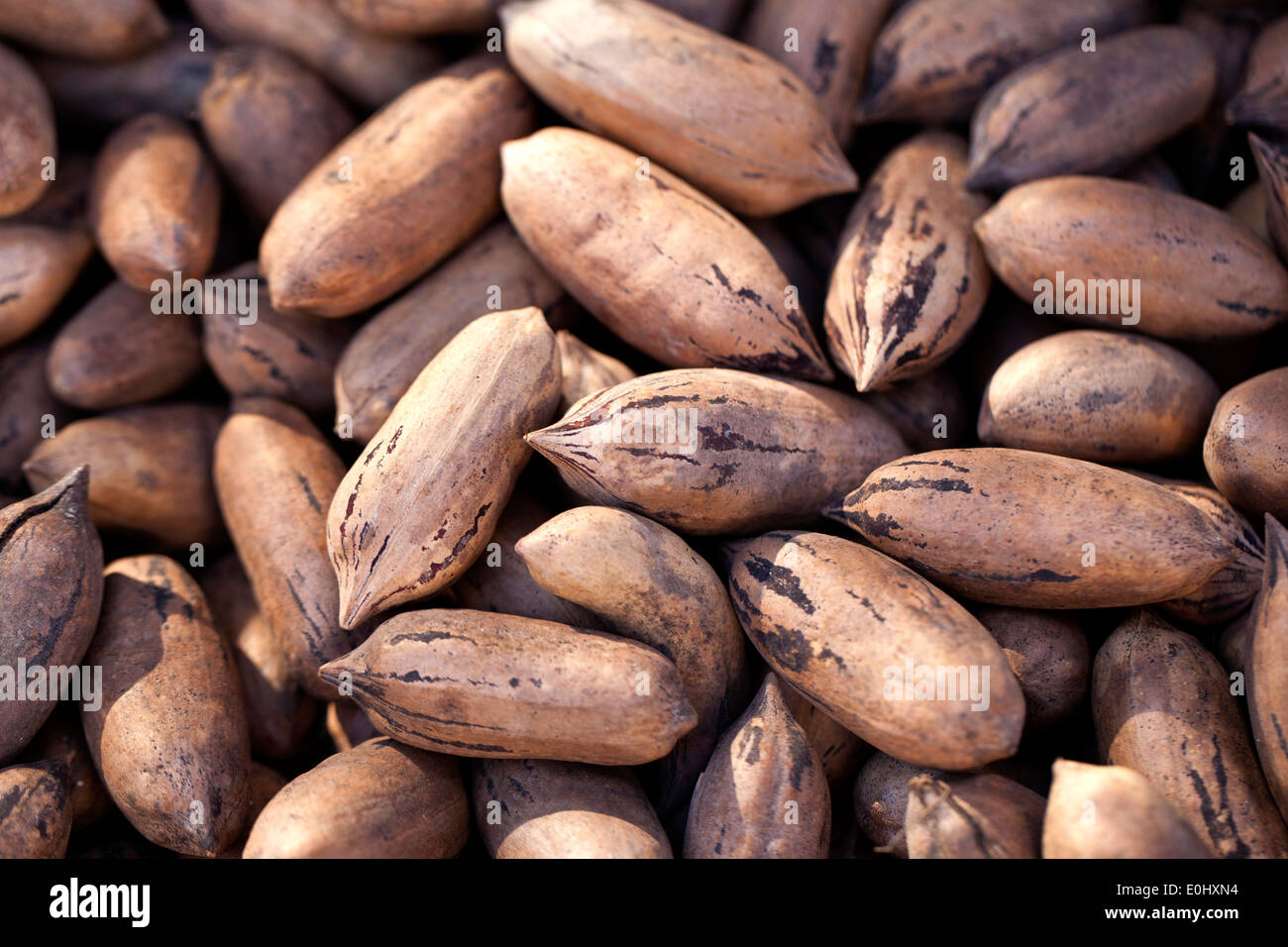 Kernel de nuez hi-res stock photography and images - Alamy