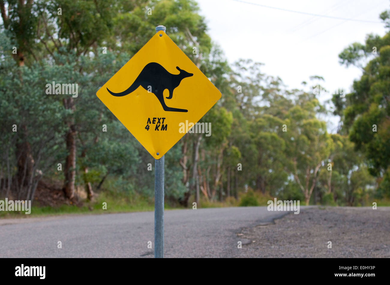 A Kangaroo warning sign near Morrisset Hospital alongside the Koophatoo ...