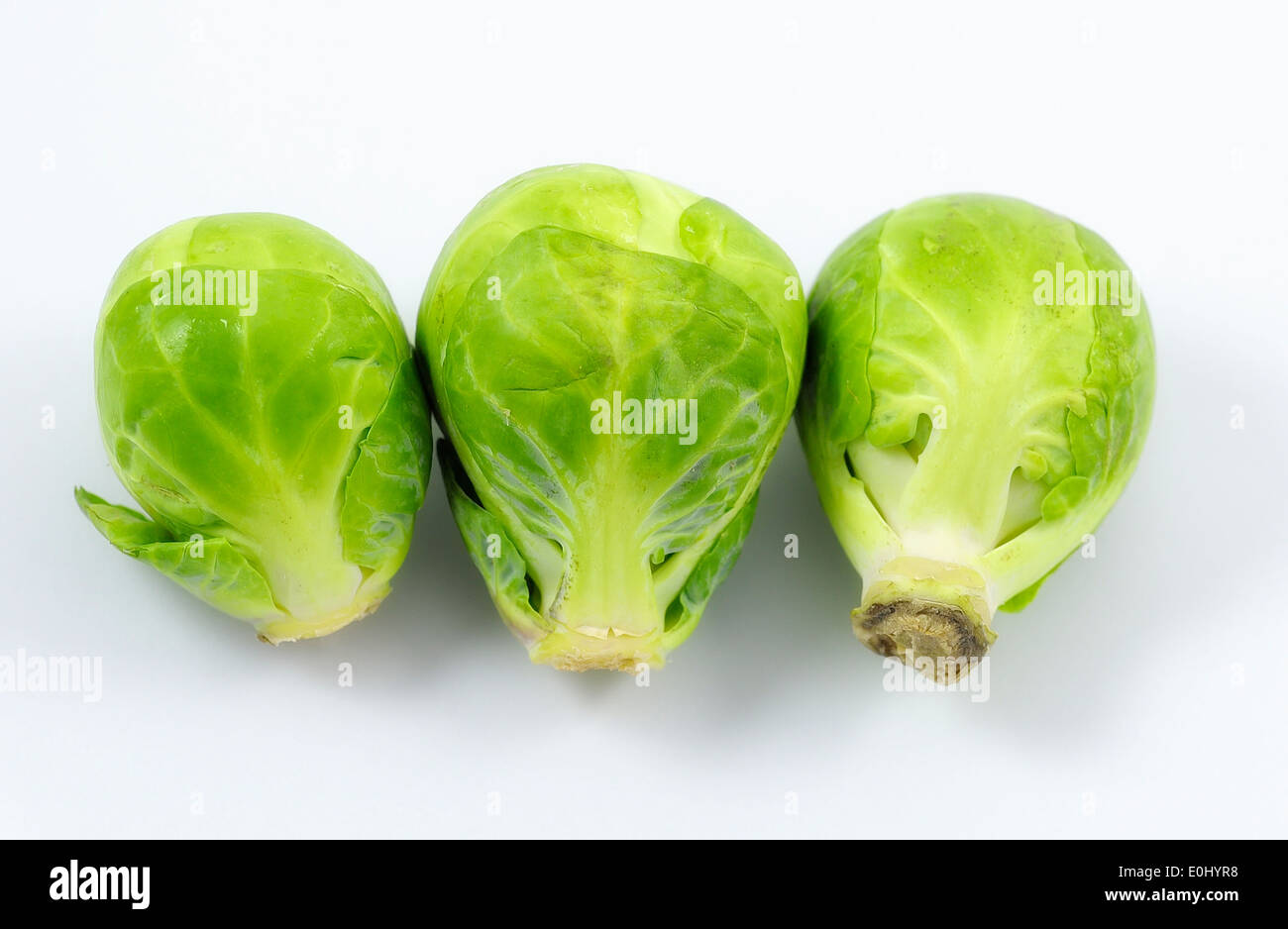 3 Brussel sprouts on a white background Stock Photo - Alamy