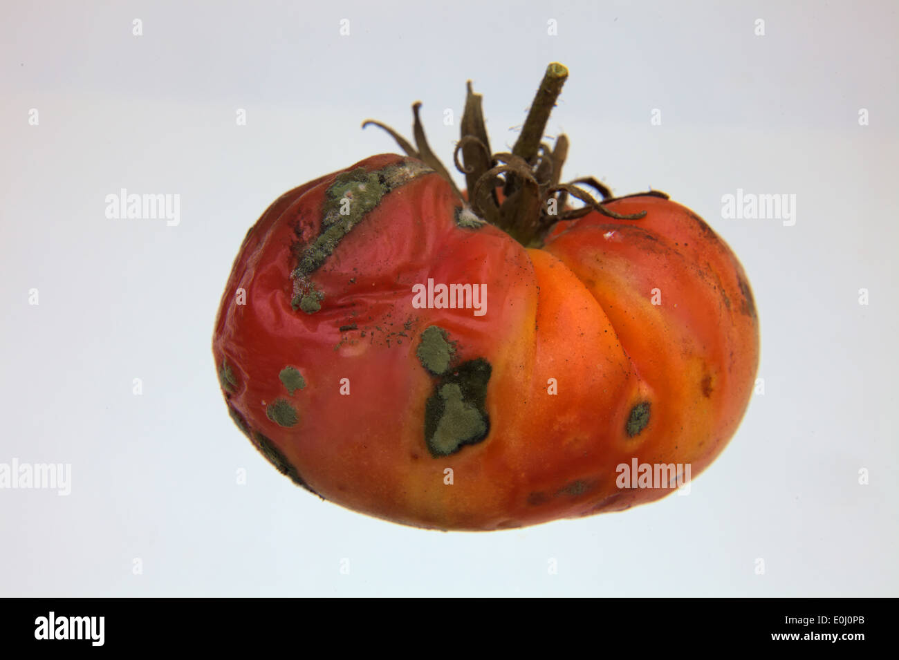 Decay on tomato - green background Stock Photo - Alamy