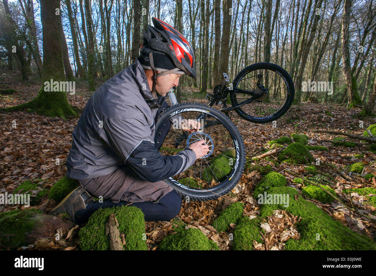 Intense repair hi-res stock photography and images - Alamy