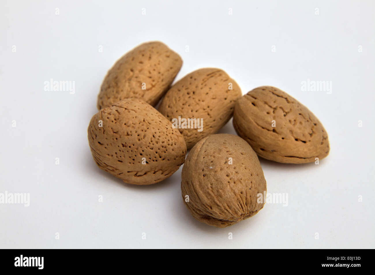 Almonds - Prunus dulcis 'Tuono' - white background Stock Photo - Alamy