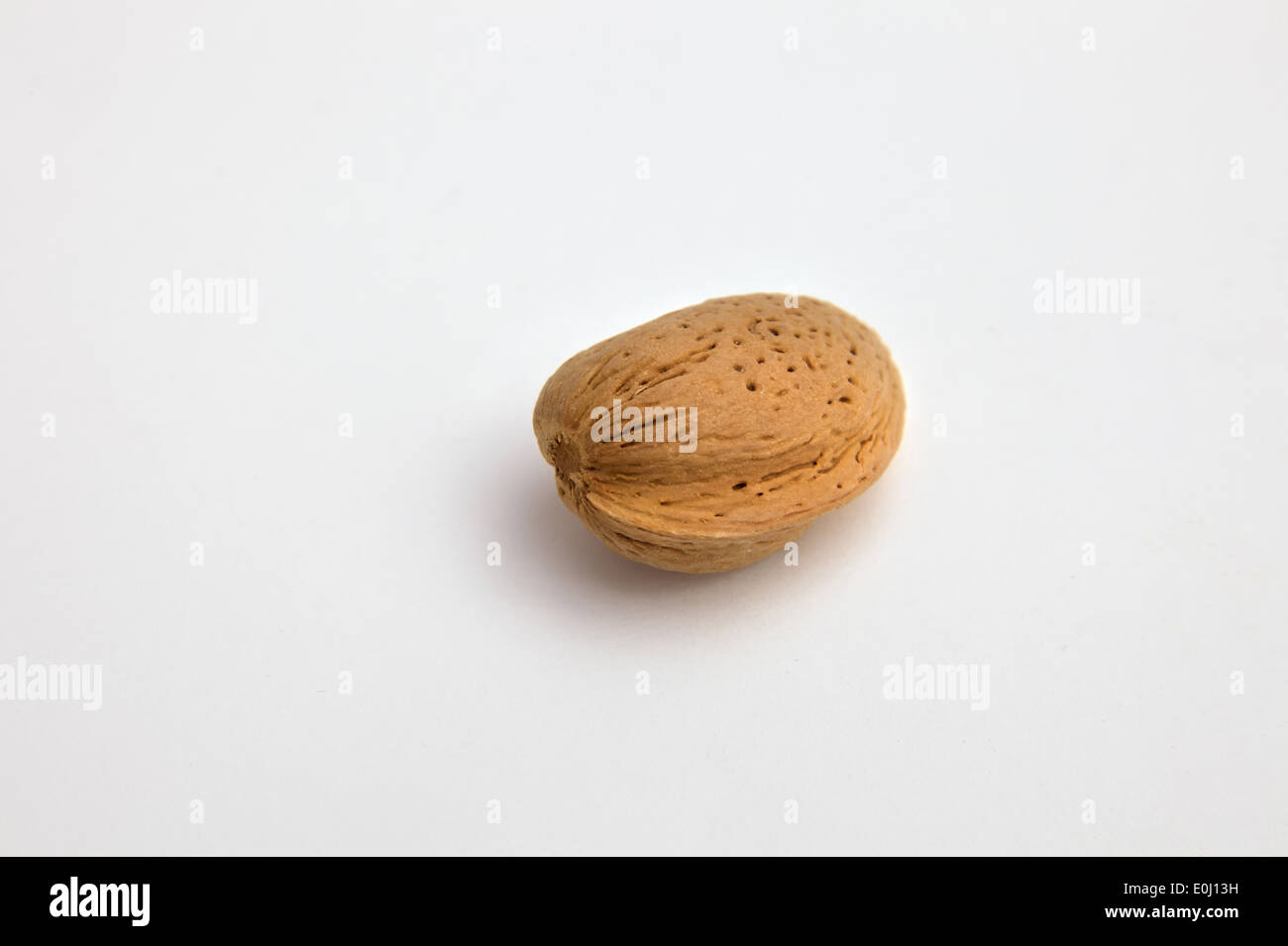 Almonds - Prunus dulcis 'Tuono' - white background Stock Photo - Alamy