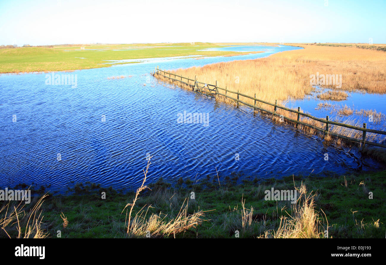 Nature reserve, Isle of Harty, Isle of Sheppey, Kent, England Stock ...