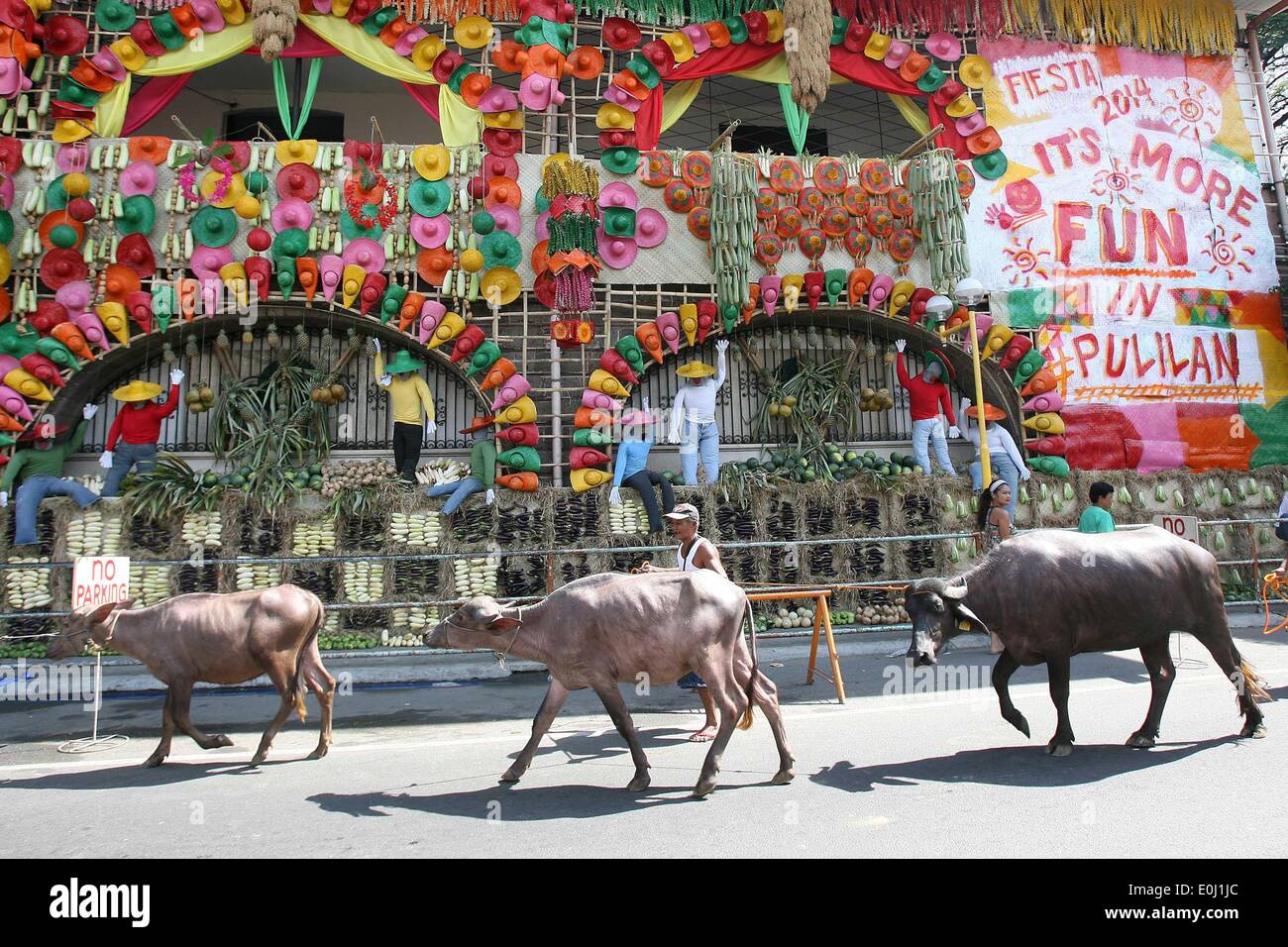 Bulacan Province, Philippines. 14th May, 2014. Water buffaloes, locally ...