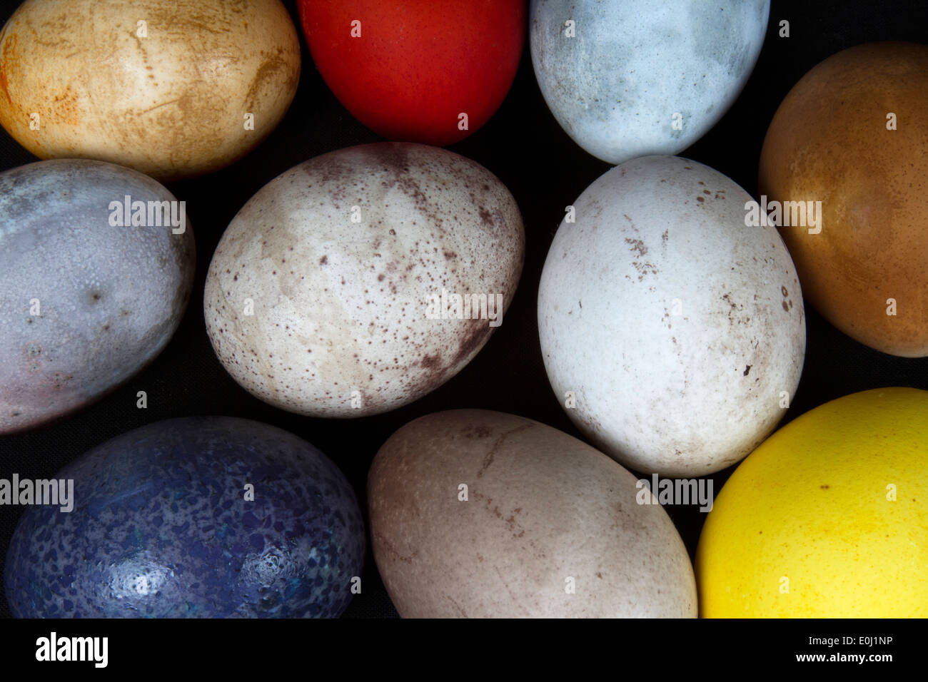 Collection of multi-colored easter eggs Stock Photo - Alamy