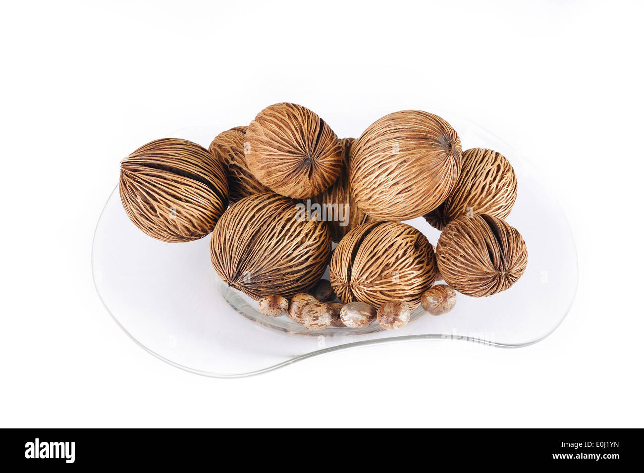 Castor bean and Cerbera odollam seed for decoration Stock Photo - Alamy