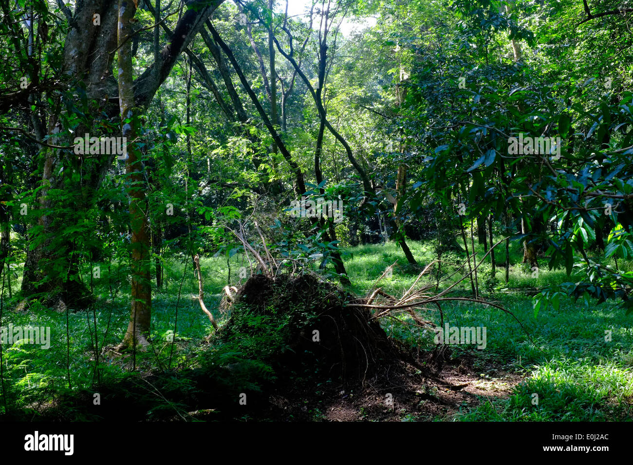 Shaded areas hi-res stock photography and images - Alamy