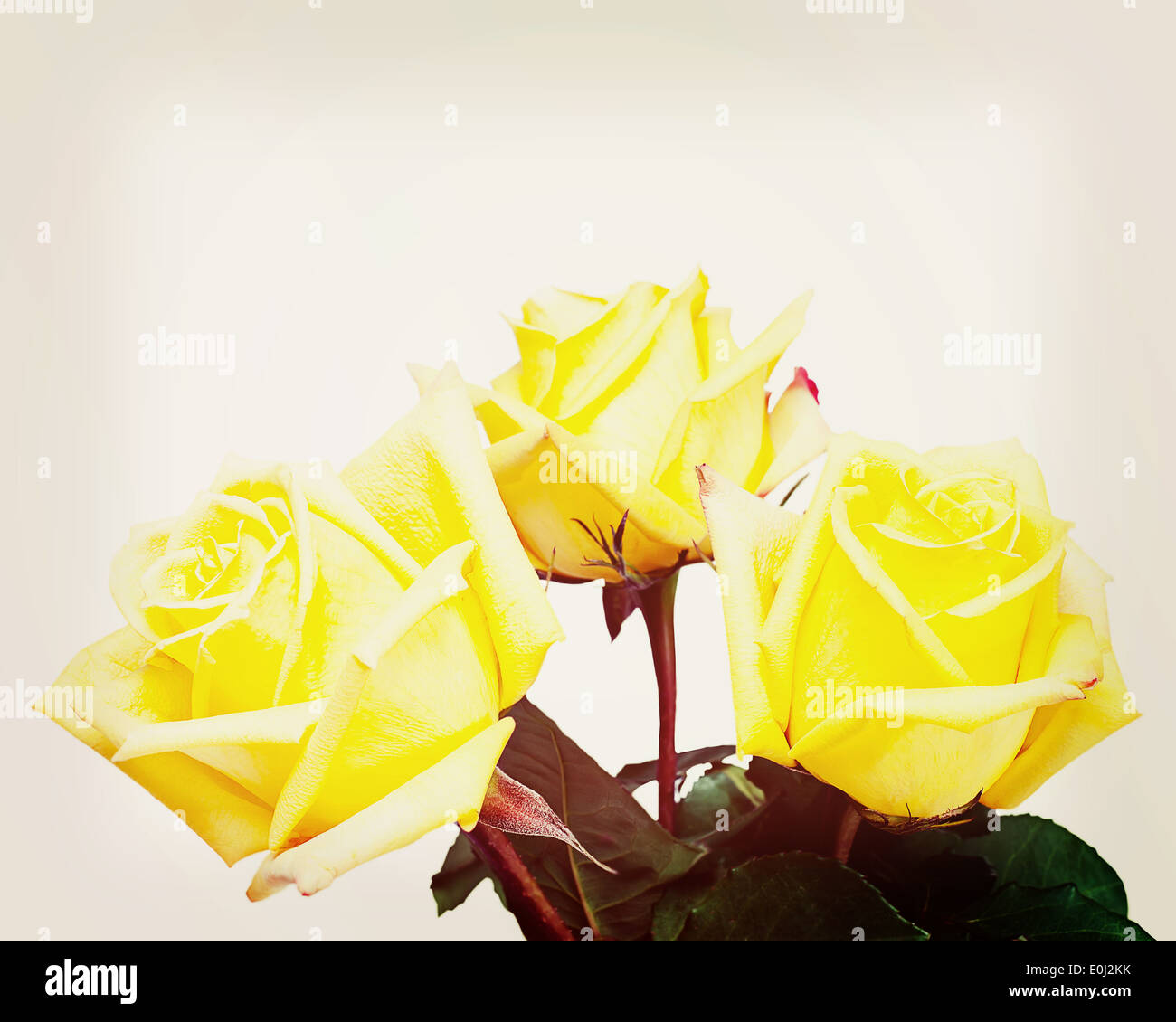 Bouquet from flowers with retro filter effect. Closeup Stock Photo - Alamy