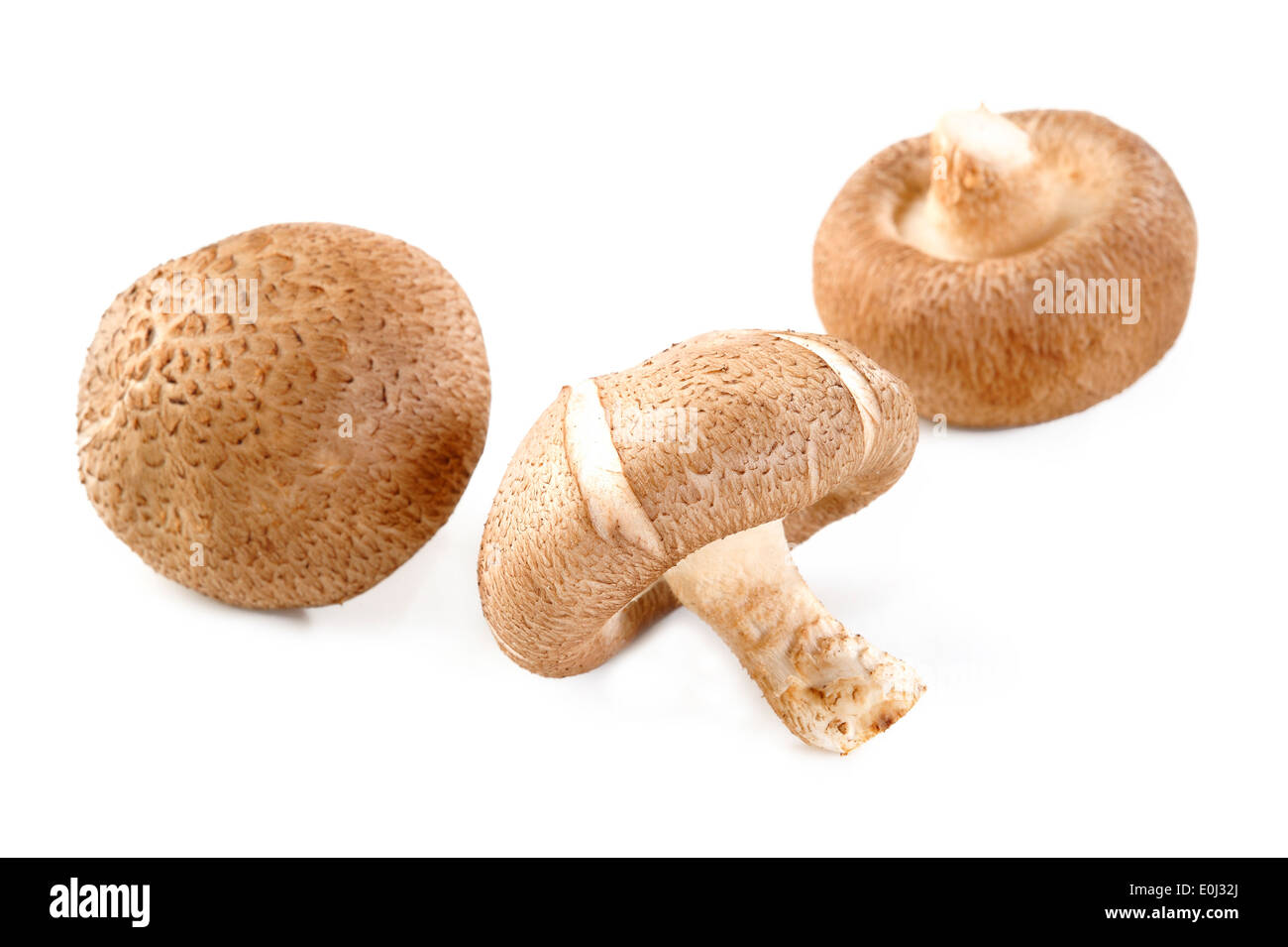 Fresh shiitake mushrooms on white background Stock Photo - Alamy