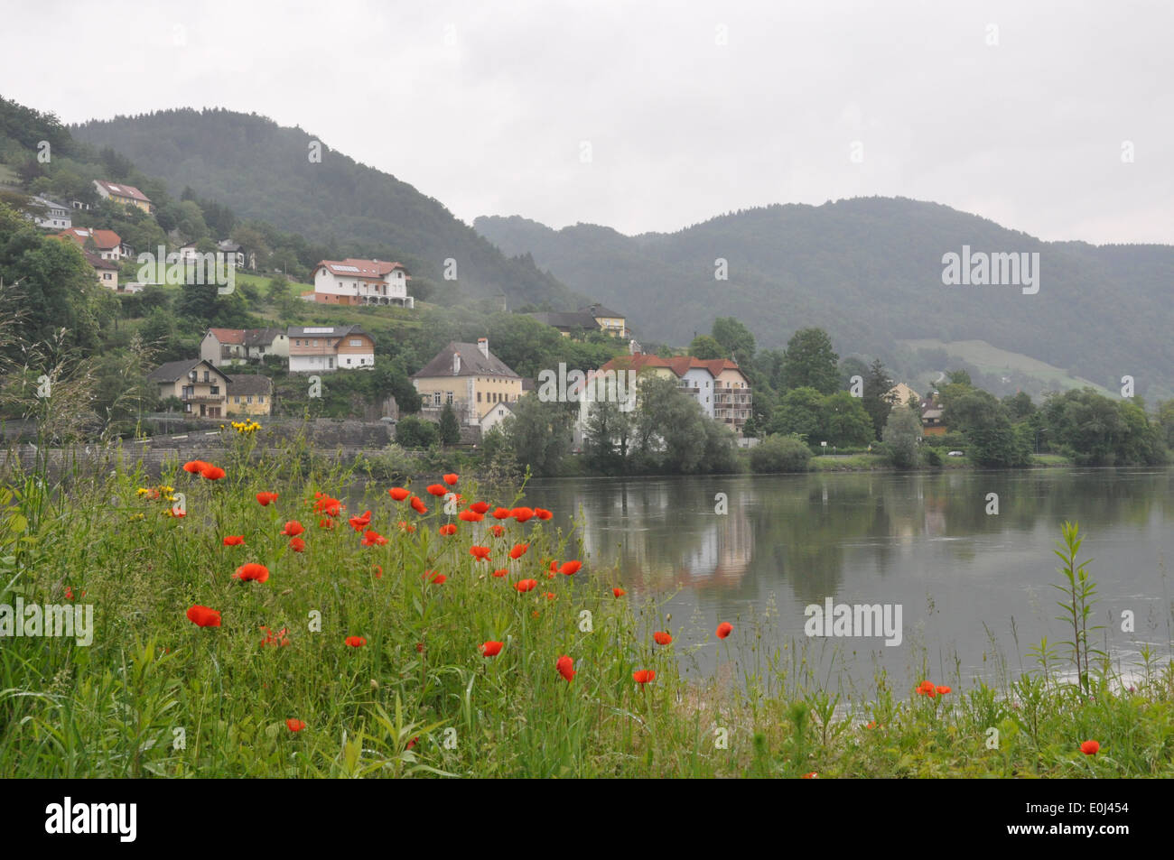 Picturesque village of Struden seen across the Danube River Stock Photo ...