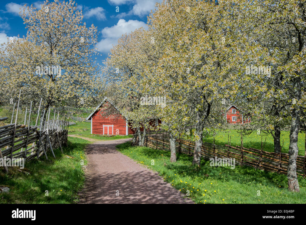 Sunny day in the countryside hi-res stock photography and images - Alamy