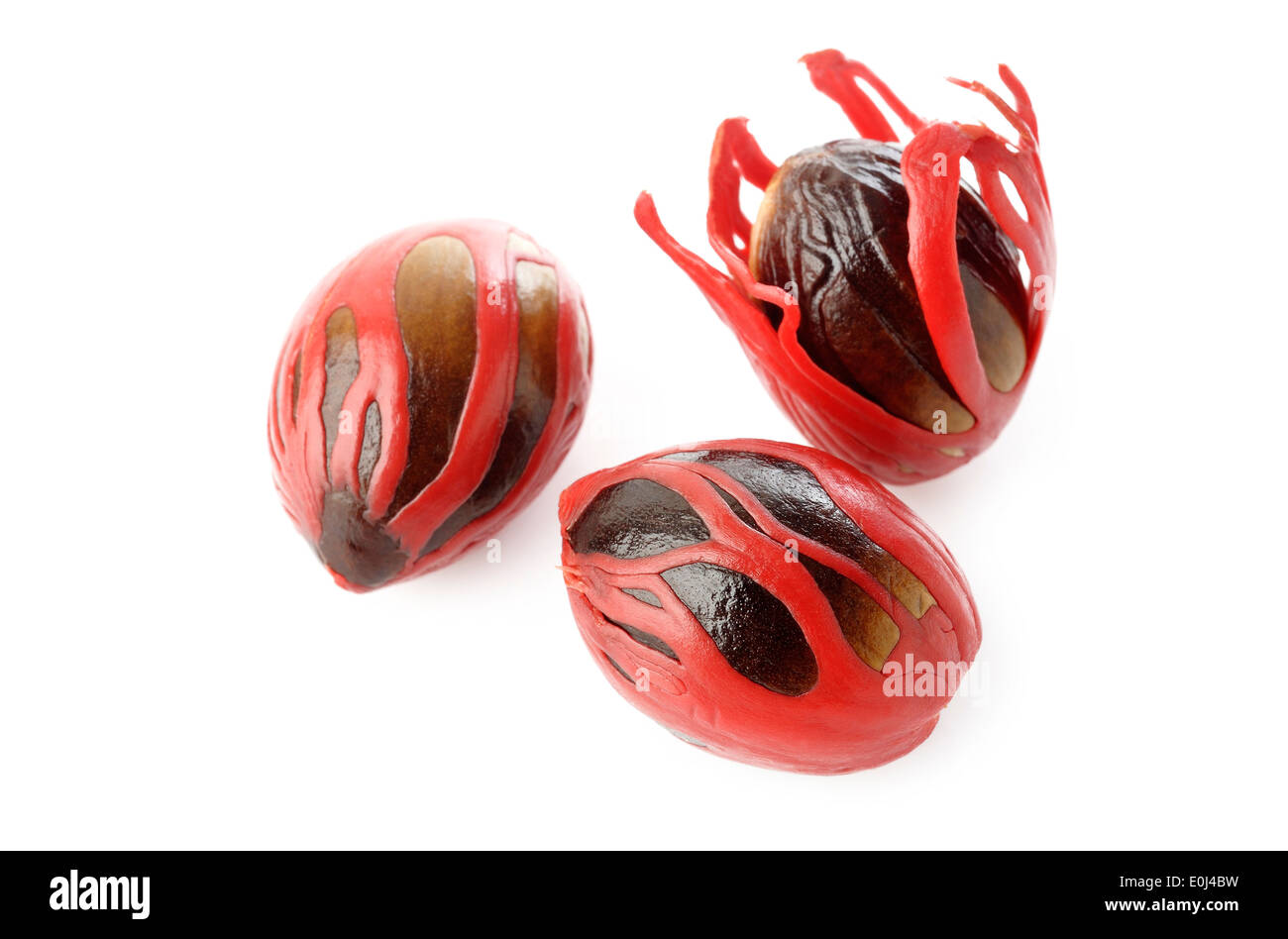 nutmeg seeds on white background Stock Photo - Alamy