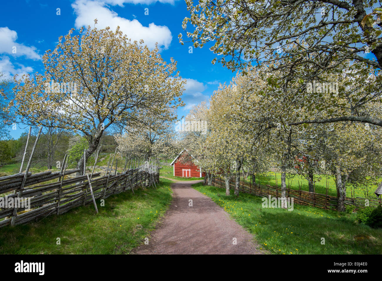 Traditional architecture flowers lawn sunny spring hi-res stock ...