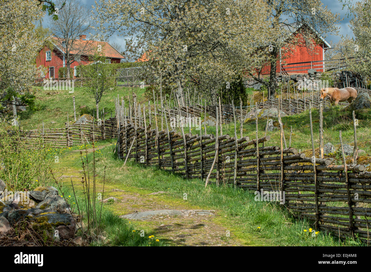 Sunny day in the countryside hi-res stock photography and images - Alamy