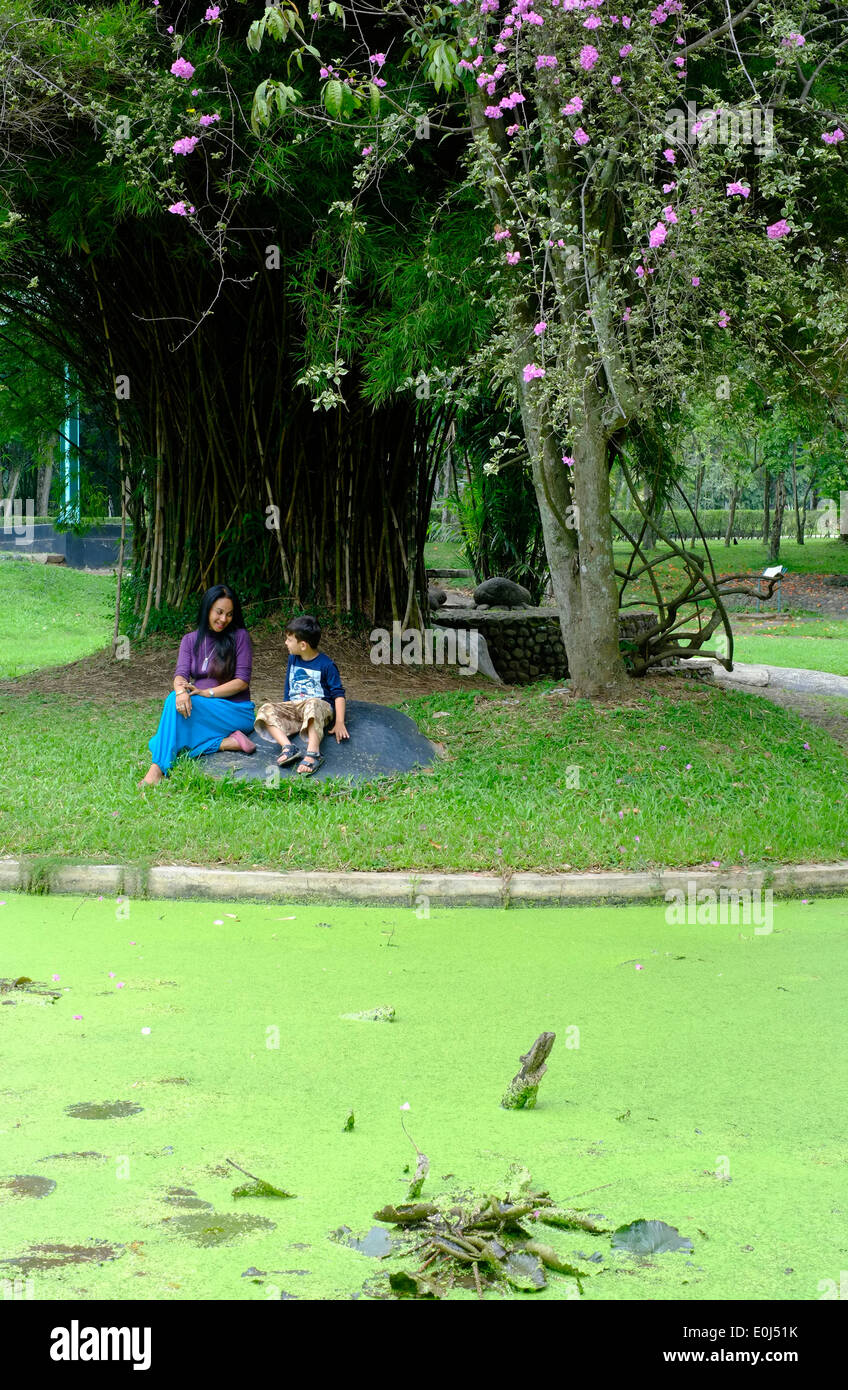 a mother and son relaxing in shade under a tree at the purwodadi ...