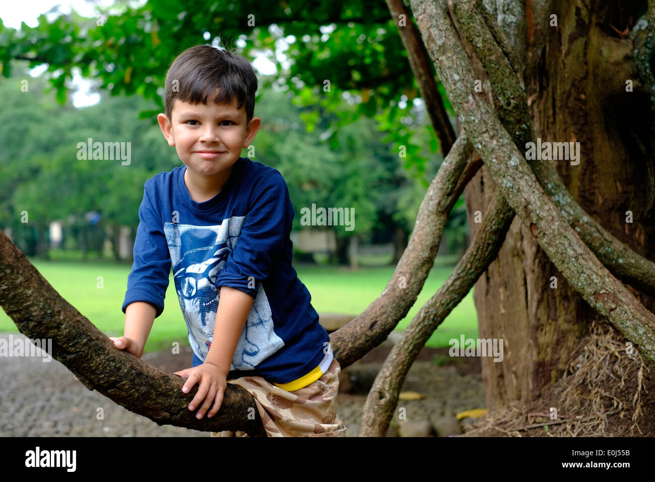 little boy sitting on a tree branch at the purwodadi botanical gardens ...