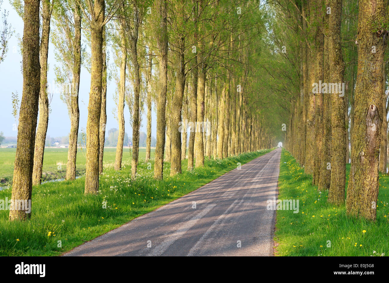 Holland bicycle tunnel hi-res stock photography and images - Alamy