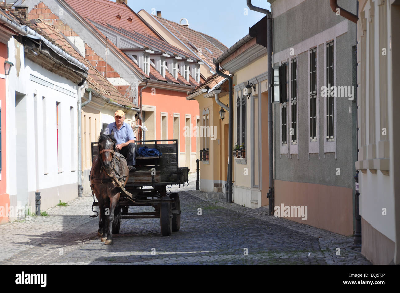 A local farmer driving his horse and cart in a side street of Esztergom ...