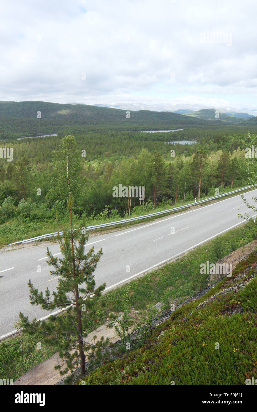 Landscape with forest and road, top view Stock Photo - Alamy