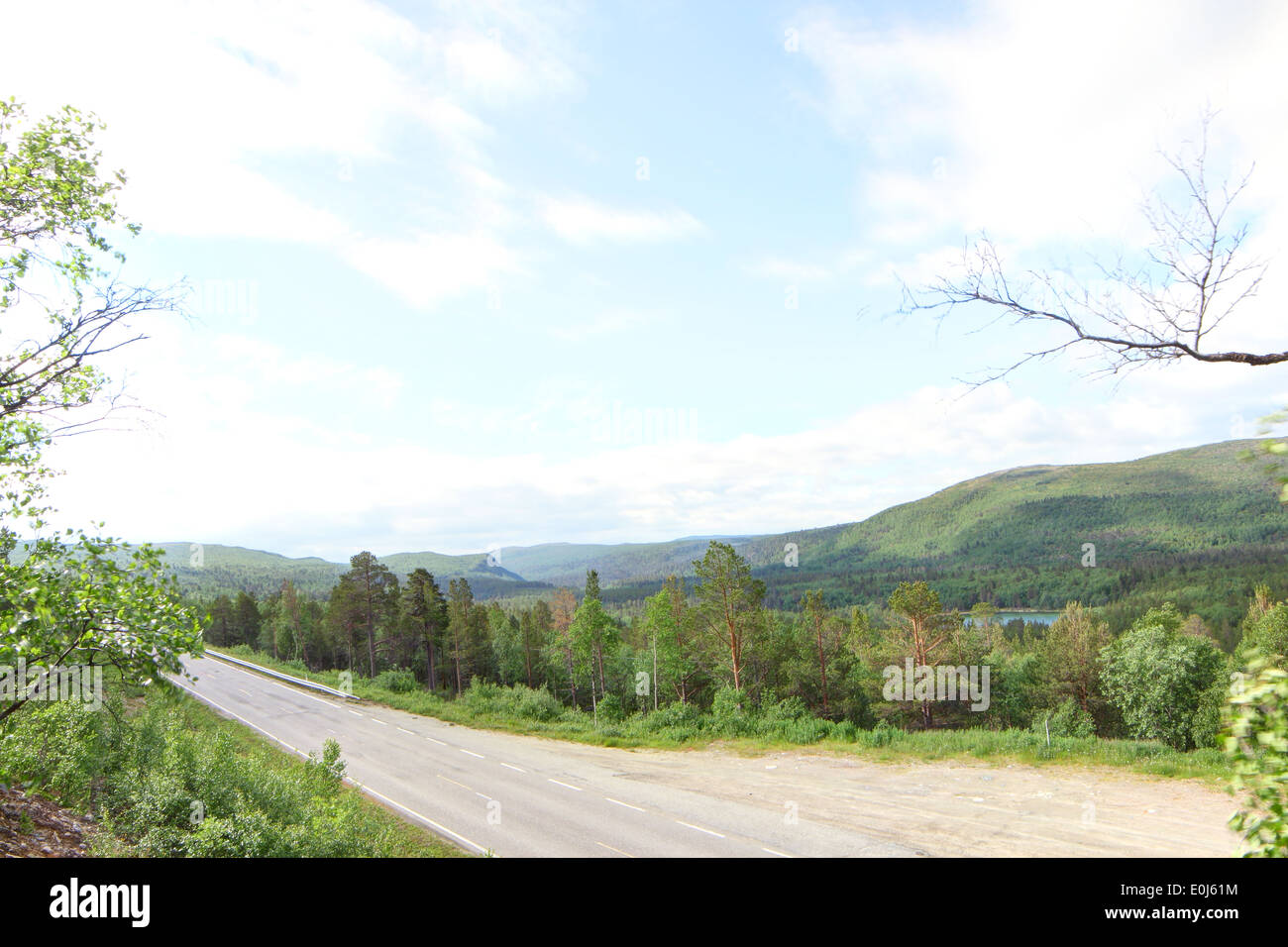Landscape with forest and road, top view Stock Photo - Alamy