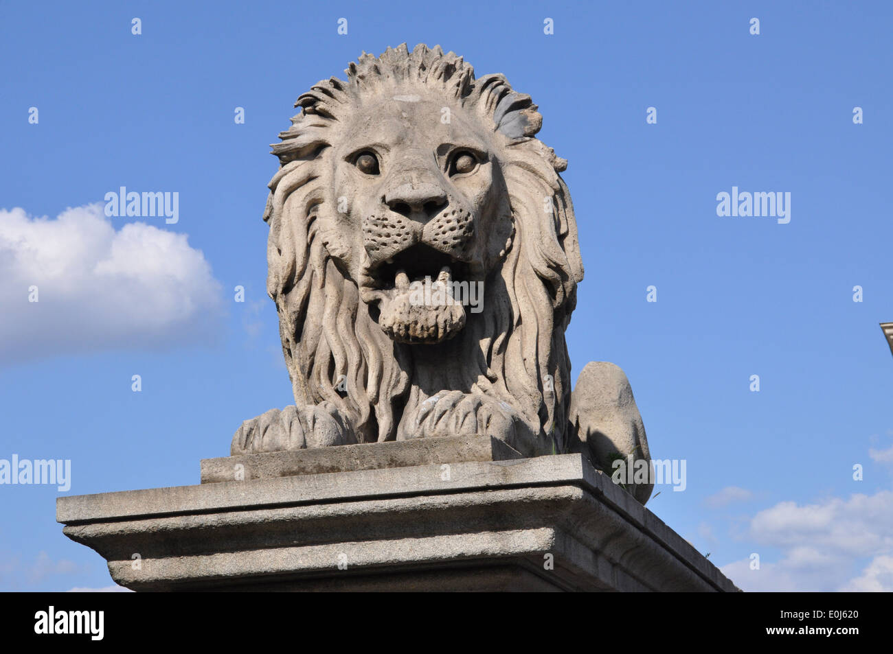 Chain Bridge Lions Budapest High Resolution Stock Photography and ...